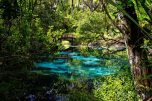 7 Best Springs in Central Florida - Element Vacation Homes