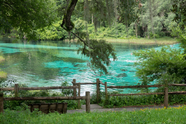 7 Best Springs in Central Florida - Element Vacation Homes